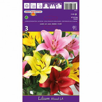 Lelijos | Galite nusipirkti pigiai ir saugiai GradinaMax.lt